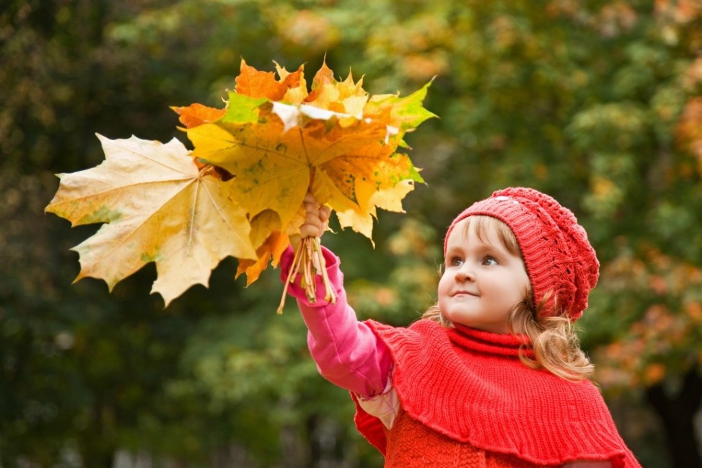 5 Fall Activities for the Whole Family from Constellation