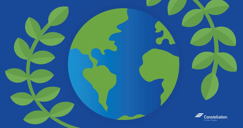 22 Earth Day Activities To Help The Planet 22 Earth Day Activities To Help The Planet