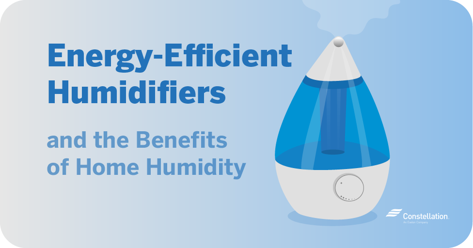 Best Energy-Efficient Humidifiers for Home Use | Constellation