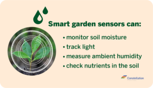 Smart Devices for Managing Your Garden | Constellation