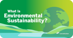 What Is Environmental Sustainability? | Constellation