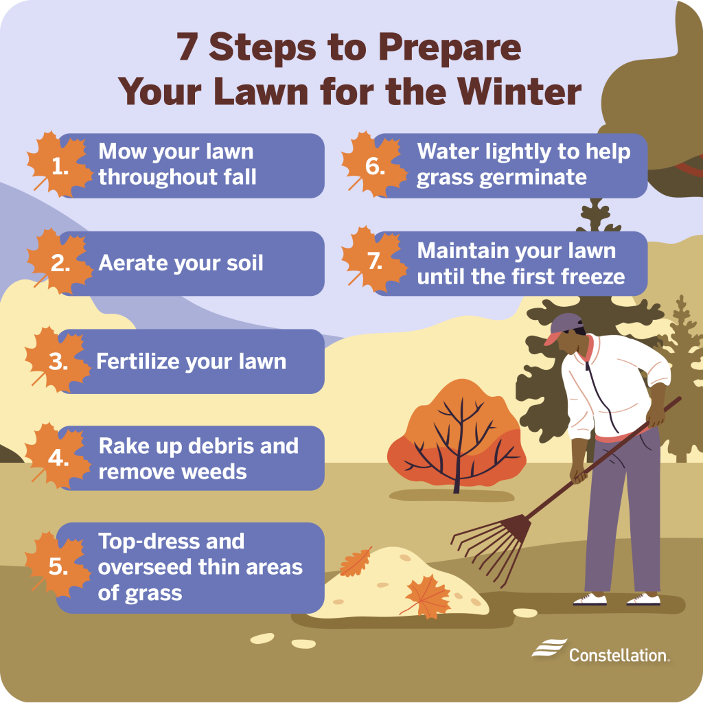 7 Steps to Prepare Your Lawn for Winter | Constellation