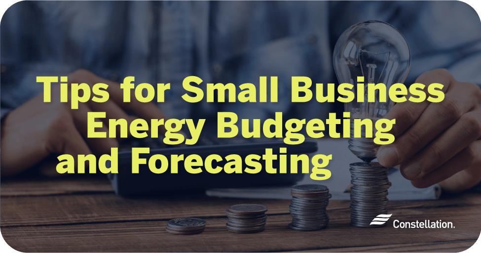 How Much Energy Do Small Businesses Use? | Constellation